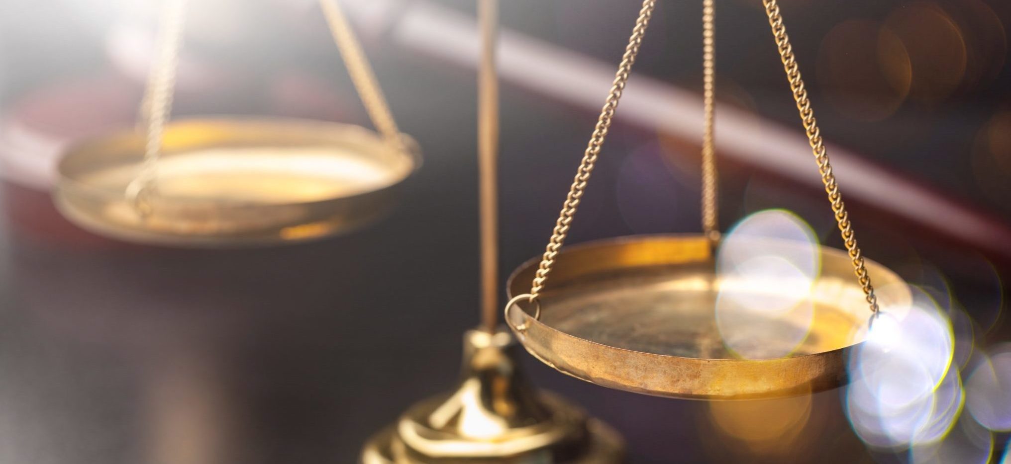 Disbarment - Law Society of Alberta